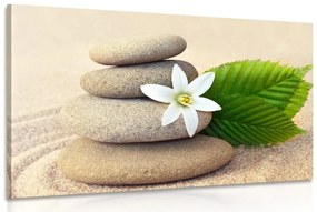 Obraz bílý květ a kameny v písku - 60x40 cm