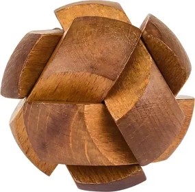 PROFESSOR PUZZLE Sada hlavolamů Great Minds: Slavní muži 8v1 / 8 hlavo