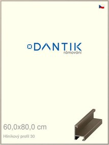 DANTIK rámeček 60x80 | ALU profil 6030 champagne (Plexi Čiré)