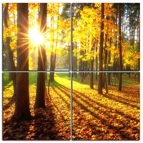 Obraz na plátně - Podzimní les - čtverec 3176E (100x100 cm)