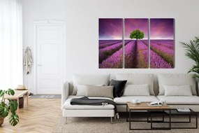 Vícedílný obraz Strom Uprostřed 3D Levandulového Pole Nedostatek Nedostatek Plátno Canvas 60x40