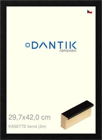 DANTIK rámeček 29,7x42 | KASSETTE černá (Plexi Čiré)