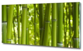 Wallmuralia Foto obraz fotografie na skle Bambus 100x50