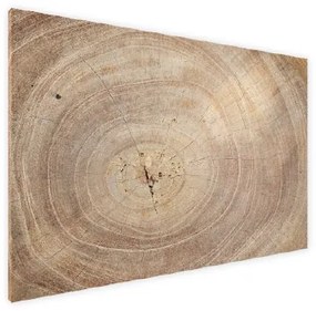 Kovový obraz dřevěné letokruhy 90 x 60 ALLboards METAL MB96_00021