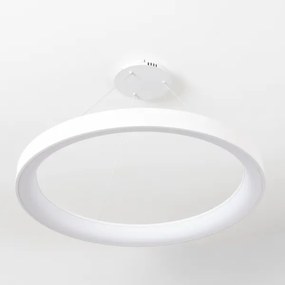 Brilagi - LED Stm. lustr FALCON II LED/108W/230V 3000-6500K pr. 80 cm bílá + DO