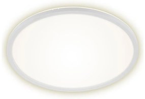 Briloner 7157-416 - LED Stropní svítidlo SLIM LED/22W/230V pr. 42 cm