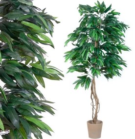 PLANTASIA 1429 Umělá rostlina strom, mango, 180 cm