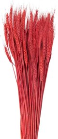 Sušené květy pšeničná tráva červená 80 cm (200 g) – 80  cm