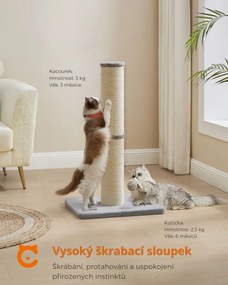 Škrabadlo pro kočky, SIMBA, 50x40x85 cm, šedá/béžová Feandrea