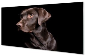 akrylový obraz hnědý pes 140x70 cm