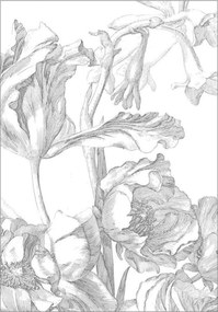 Tapeta Engraved Flowers