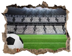 Wallmuralia Fototapeta díra na zeď 3D Míč na stadioně 95x64 cm