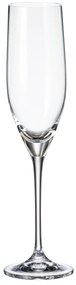 Crystalite Bohemia sklenice na šampaňské Sitta 240 ml 6KS