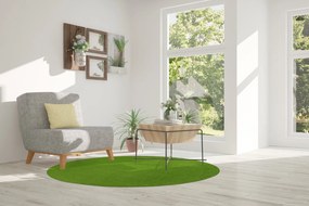 Vopi koberce Kusový koberec Eton zelený 41 kruh - 250x250 (průměr) kruh cm