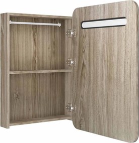 LED koupelnová skříňka se zrcadlem dub 60 x 11 x 80 cm 326507