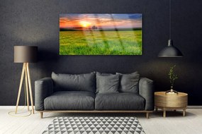 akrylový obraz Louka Slunce Příroda 120x60 cm