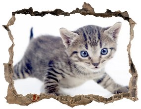 Wallmuralia Samolepící díra nálepka Malá kočka 95x64 cm