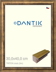 DANTIK rámeček 30x40 | TRITON zlatá (Plexi Čiré)