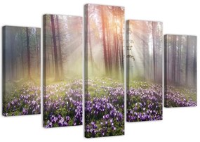 Obraz na plátně pětidílný Mlžný les Květiny - 150x100 cm