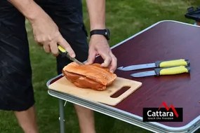 Cattara Grilovací nože sada 4+1+1