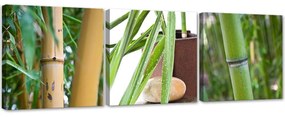 Gario Sada obrazů na plátně Zenová bambusy - 3 dílná Rozměry: 90 x 30 cm