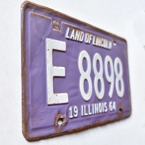 Americká SPZ Illinois 1964 Purple E 8898