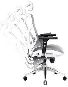 Ergonomická židle DIABLO V-BASIC: bílo-šedá Diablochairs