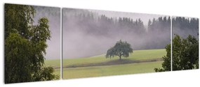 Obraz louky se stromem (170x50 cm)