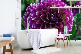 Samolepící fototapeta nádherný fialový květ - 300x200 cm