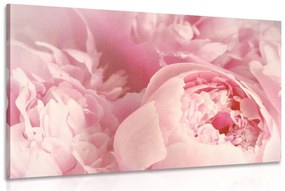 Obraz lupínky květu - 60x40 cm
