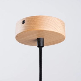 Sollux Lighting Závěsné svítidlo FANO černé
