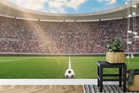 Fototapeta Fotbalový Stadion Strukturální vinyl 360x240