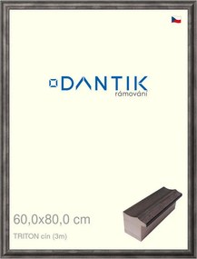 DANTIK rámeček 60x80 | TRITON cín (Plexi Čiré)