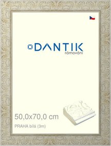 DANTIK rámeček 50x70 | PRAHA Bílá (Plexi Čiré)