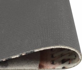 Kuchyňský koberec omyvatelný Shoezone 45 x 150 cm samet 136561