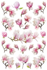 Samolepící dekorace Magnolia, 42,5 x 65 cm