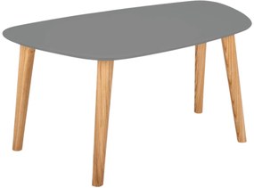 OnaDnes -20% Šedý lakovaný konferenční stolek RAGABA ENDOCARP 80 x 48 cm