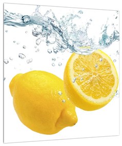 Obraz citrónů (40x40 cm)