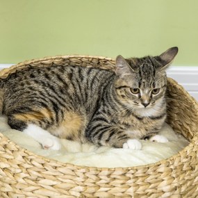 PawHut Kočičí Škrabadlo 2 Úrovně Výška 72 cm Sklolaminátový Sloupec s Úkrytem a Platformou 1 Visící Míček Béžové