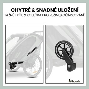 Hauck Bike N Walk Duo cyklovozík 3v1 light grey