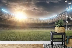 Fototapeta Fotbalový Stadion Vliesová tapeta 360x240