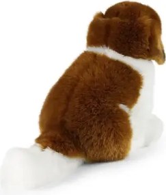 RAPPA Plyšový pes bernardýn 28 cm / ECO-FRIENDLY / od 0 měsíců