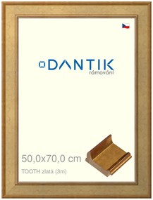 DANTIK rámeček 50x70 | TOOTH zlatá (Plexi Čiré)