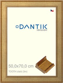 DANTIK rámeček 50x70 | TOOTH zlatá (Plexi Čiré)