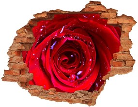 Wallmuralia Samolepící nálepka na zeď Květ růží 90x70 cm