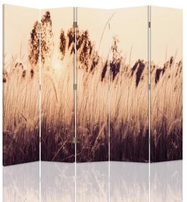 Ozdobný paraván Tráva Vintage béžová - 180x170 cm, pětidílný, obustranný paraván 360°