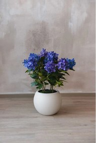 Umělá hortenzie v květináči HYDRANGA, plast, výška 60 cm, modrá