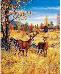 NORIMPEX Diamantové malování Jeleni na poli / 30x40 cm