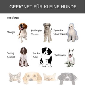 Přepravní box pro psa a kočku PawHut na 4 kolech | černý, Barvy a parametry Materiál kov