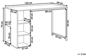 Psací stůl 120 x 60 cm tmavé dřevo/bílý DESE Beliani